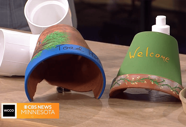 DIY Toad Houses and Bee Baths [VIDEO]